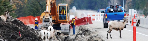 Ground Disturbance Level II – Xi Safety Inc